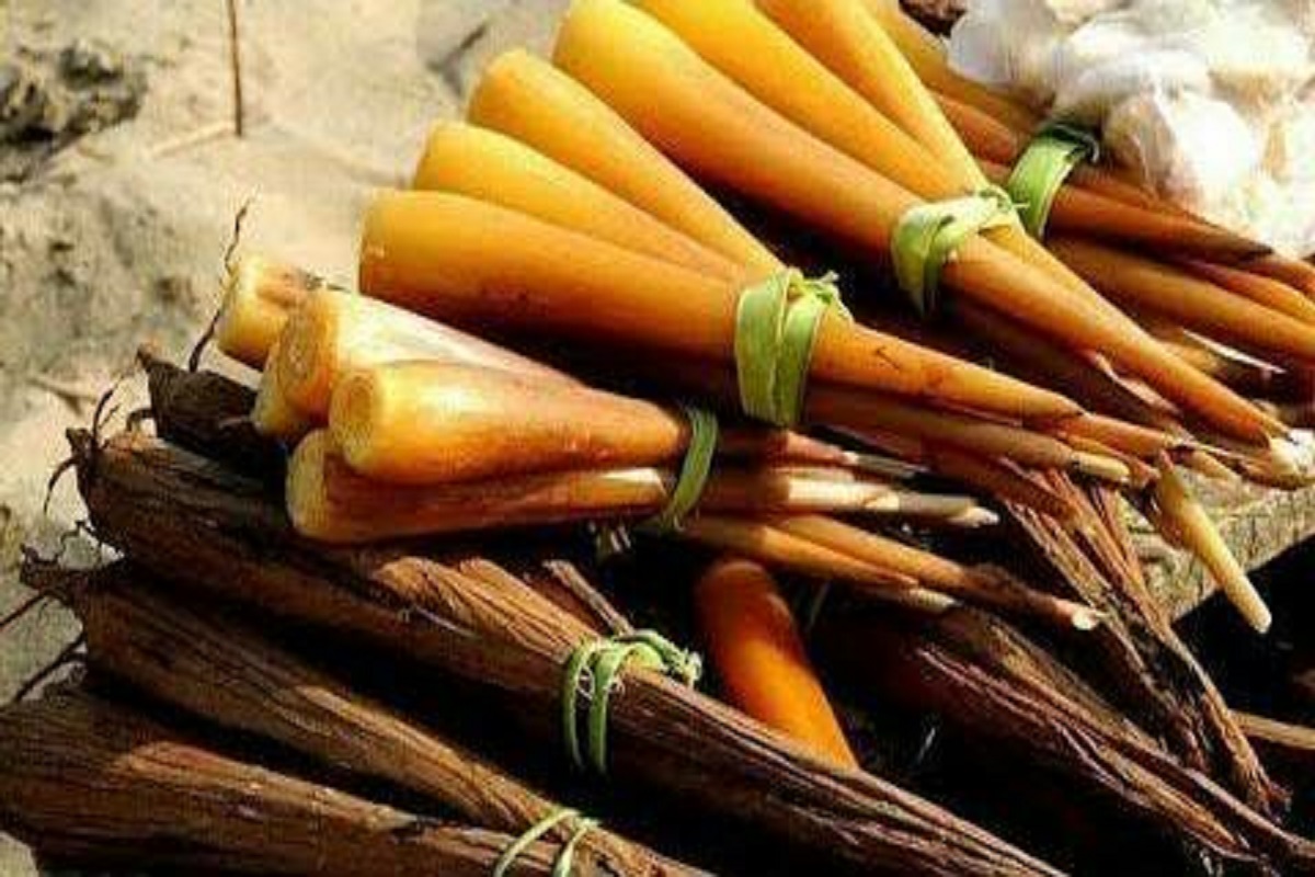 நோய் எதிர்ப்பு சக்தியை அதிகரிக்க பனங்கிழங்கு சாப்பிடுங்கள்!